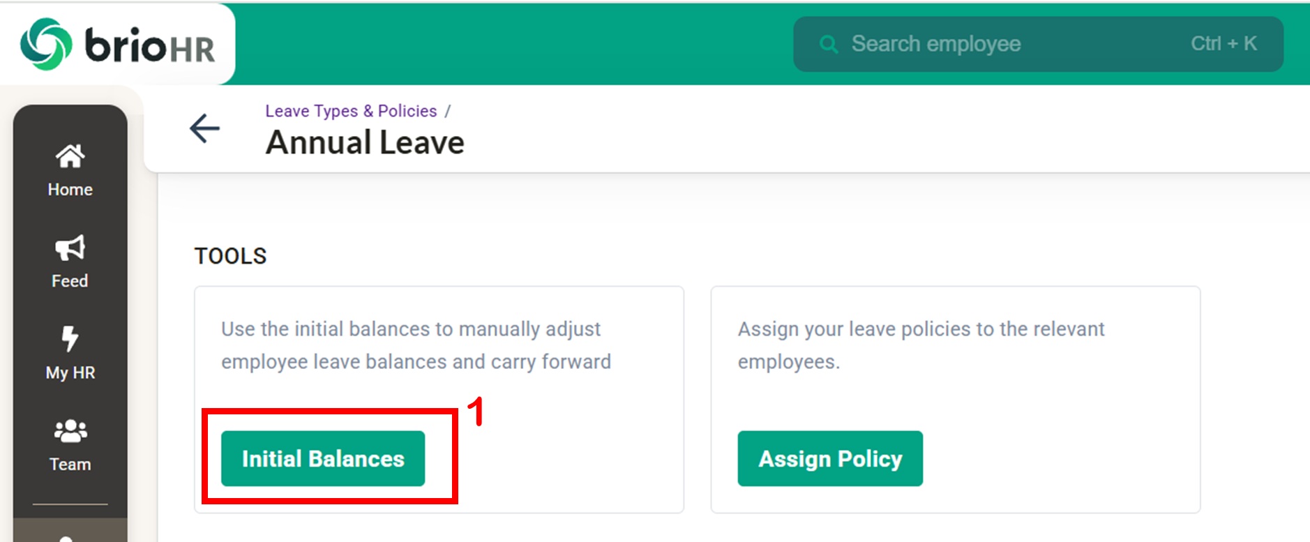 How to Enable and Configure Carry Forward of Previous Year Leave ...