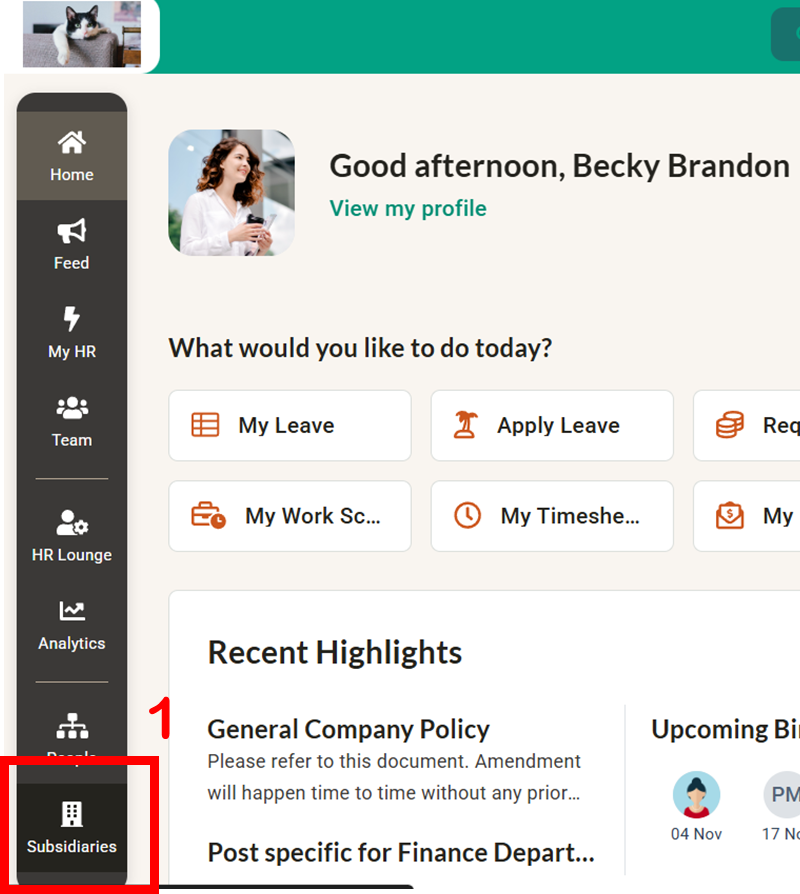 How to Use the Subsidiaries Feature in BrioHR