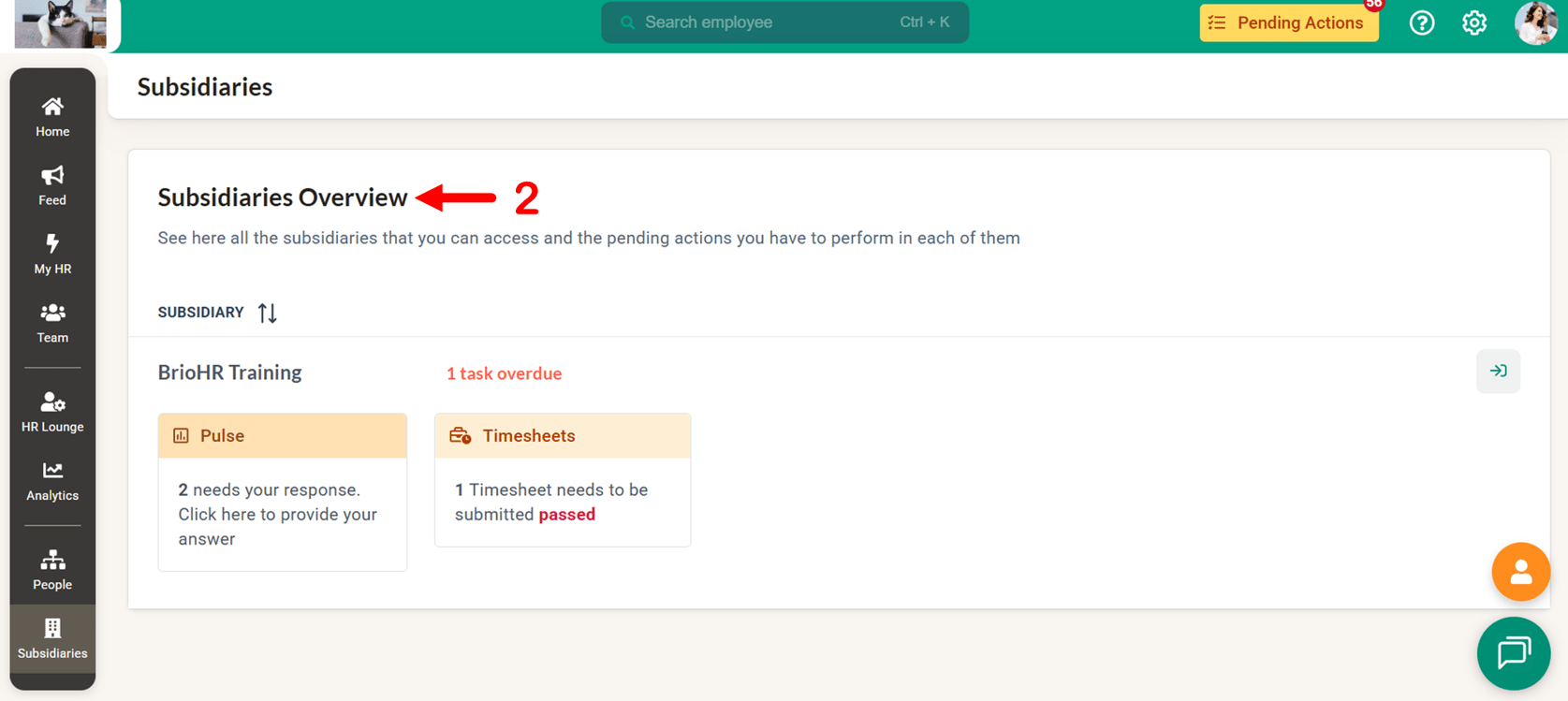 How to Use the Subsidiaries Feature in BrioHR