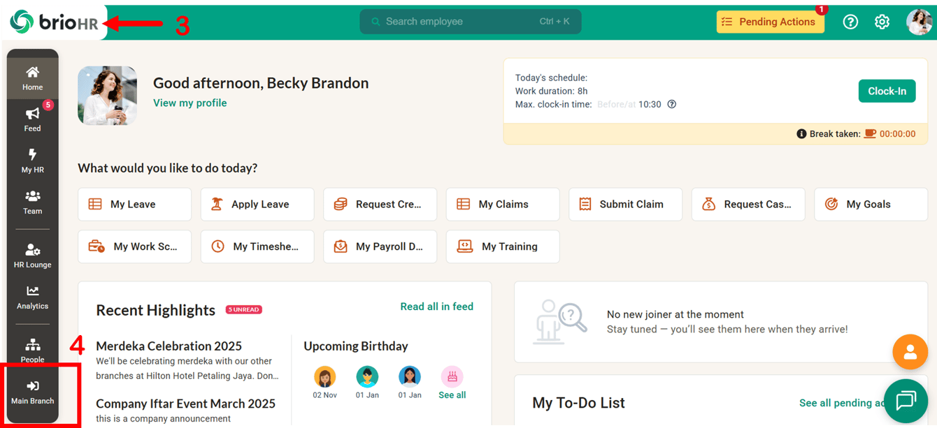 How to Use the Subsidiaries Feature in BrioHR